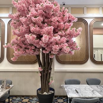 MADO YONGE - Updated January 2026 - 107 Photos & 53 Reviews - 144 Yonge ...