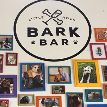 BARK BAR & GRILLE - Updated January 2026 - 106 Photos & 45 Reviews ...