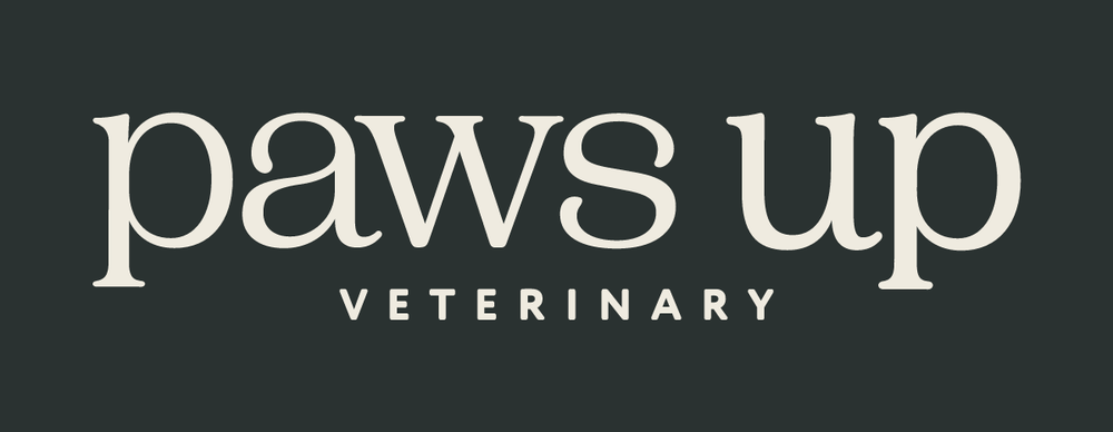PAWS UP VETERINARY - Updated June 2025 - Request Consultation - 6000 ...