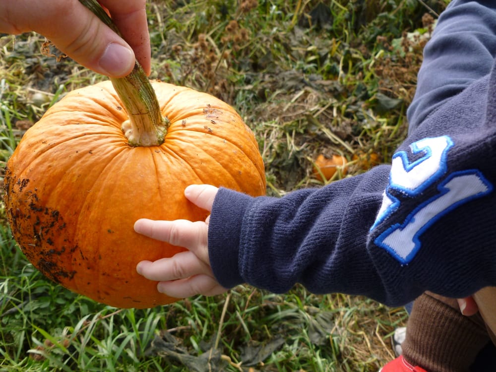 SCRIBBLE DIBBLE DAY CARE - E 9098 945th Ave, Colfax, Wisconsin - Child ...
