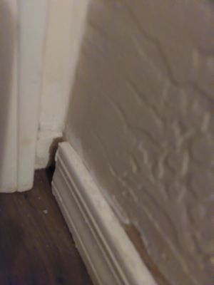 EXPRESS FLOORING - Updated December 2025 - 380 Photos & 333 Reviews ...