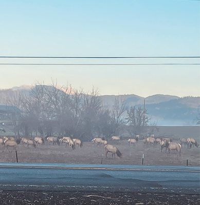 TRIPLE TREE RESTAURANT & LOUNGE - Updated September 2025 - 43 Photos ...