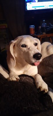 THE FARM STORE - Updated September 2025 - 13 Reviews - 561 Main St ...