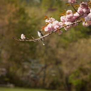 LITTLE BENNETT GOLF COURSE - Updated December 2025 - 36 Photos & 43 ...