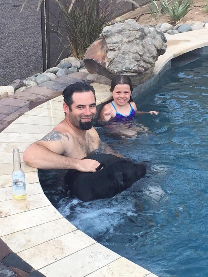 SKINNY DIPPING POOLS - Updated December 2025 - Phoenix, Arizona - Pool ...