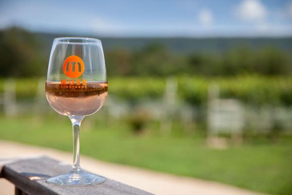 MUSE VINEYARDS - 176 Photos & 55 Reviews - Wine Tasting Room - 16 ...