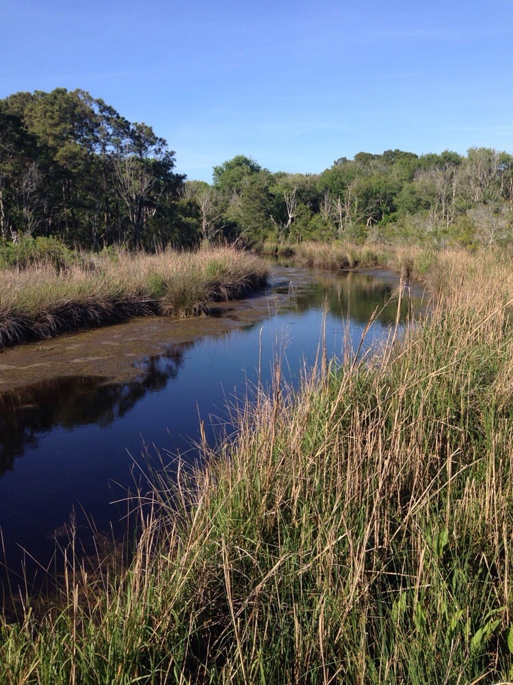 CURRITUCK NATIONAL WILDLIFE REFUGE - Updated April 2024 - Corolla ...