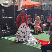 WILDCAT LOUNGE - Updated August 2025 - 183 Photos & 340 Reviews - 15 W ...