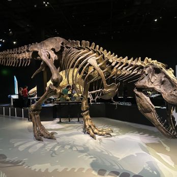 PEROT MUSEUM OF NATURE AND SCIENCE - Updated April 2025 - 2428 Photos ...