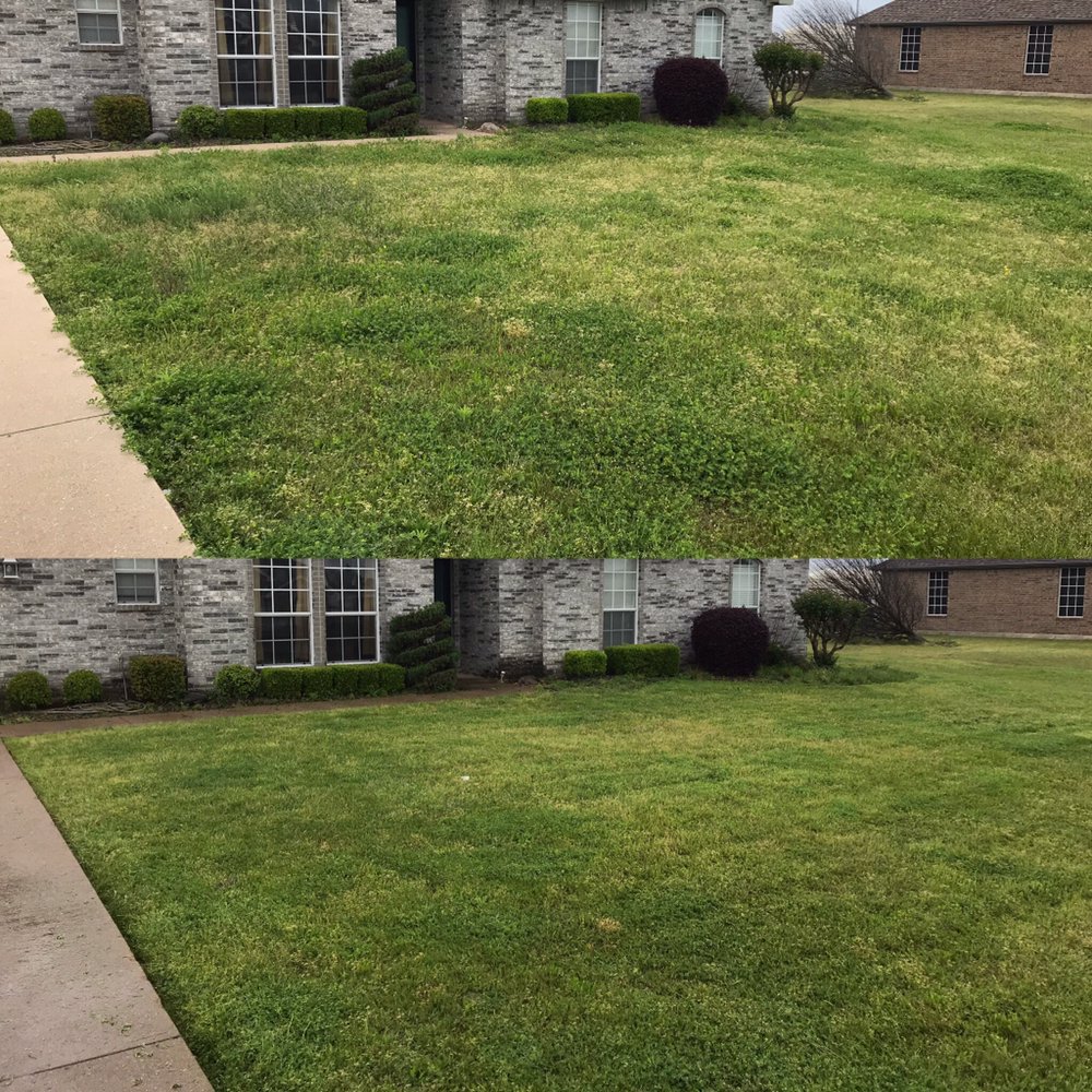 LAWN NERDS - Updated August 2025 - 18 Photos & 10 Reviews - 317 Sandy ...