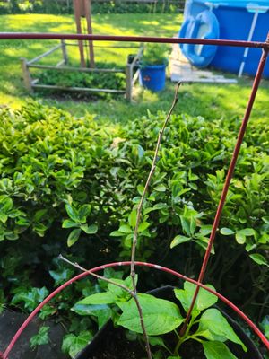 BURNT RIDGE NURSERY & ORCHARDS - Updated July 2025 - 10 Photos & 61 ...