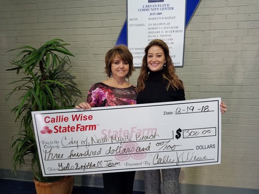 CALLIE WISE - STATE FARM INSURANCE AGENT - Updated October 2025 - 15 Photos & 16 Reviews - 3324 ...