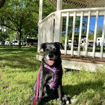 RIVER REFLECTIONS RV PARK & CAMPGROUND - Updated October 2025 - 83 ...