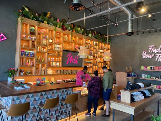 WILD - 509 Photos & 151 Reviews - 2121 N Shepherd Dr, Houston, TX - Yelp