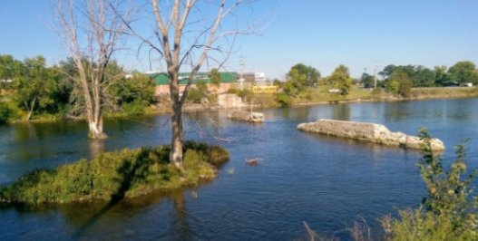 RIVERSIDE PARK - Updated December 2025 - 10 Photos - 373 Moira Street E ...