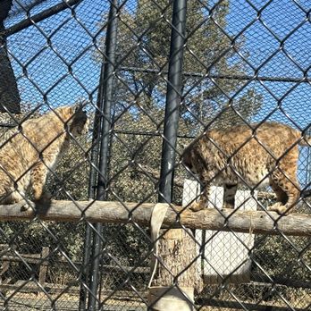 HERITAGE PARK ZOOLOGICAL SANCTUARY - Updated December 2025 - 147 Photos ...