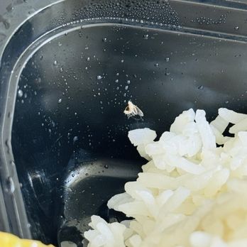 MR HOLY GAO - Updated May 2025 - 291 Photos & 221 Reviews - 10066 ...