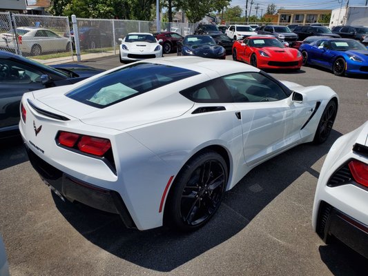 CIOCCA CORVETTE - 161 Photos & 28 Reviews - 430 N Albany Ave, Atlantic ...