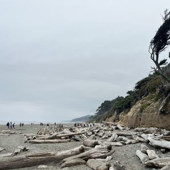 TREE OF LIFE - Updated September 2025 - 69 Photos & 26 Reviews - 101 ...