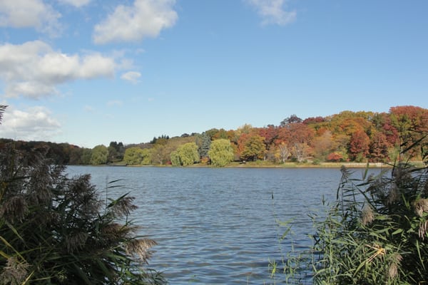 GRENADIER POND - Updated October 2025 - 14 Photos - High Park, Toronto ...