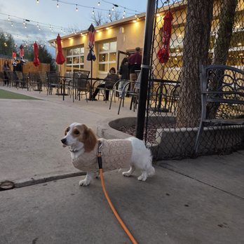 PUB DOG COLORADO - Updated June 2026 - 280 Photos & 265 Reviews - 2207 ...