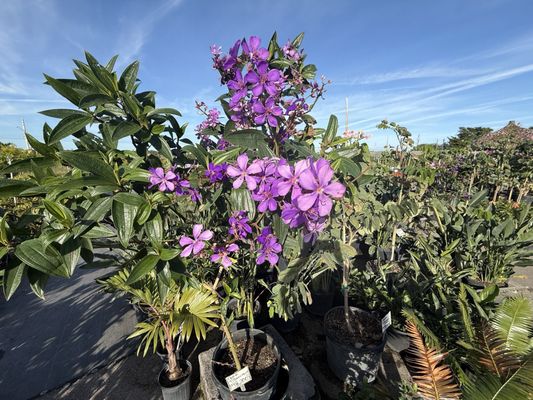 THE BUSHEL STOP - Updated August 2025 - 183 Photos & 68 Reviews - 8596 ...