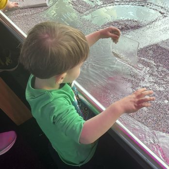 KIEWIT LUMINARIUM - Updated December 2025 - 196 Photos & 43 Reviews ...