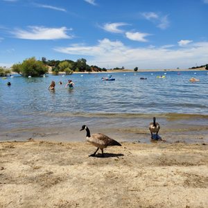 BEALS POINT CAMPGROUND - 53 Photos & 26 Reviews - 7806 Folsom Lake ...