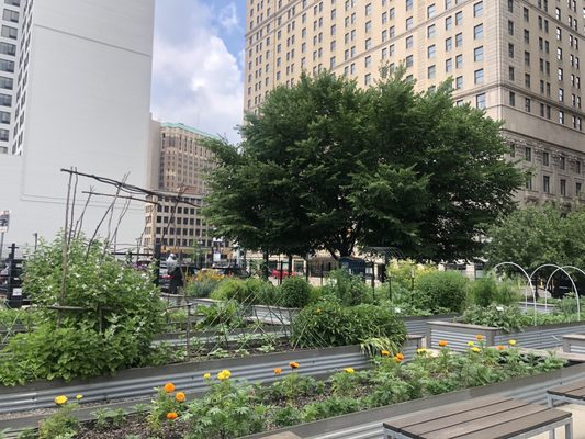 GREENING OF DETROIT - Updated August 2025 - 13000 W McNichols Rd ...