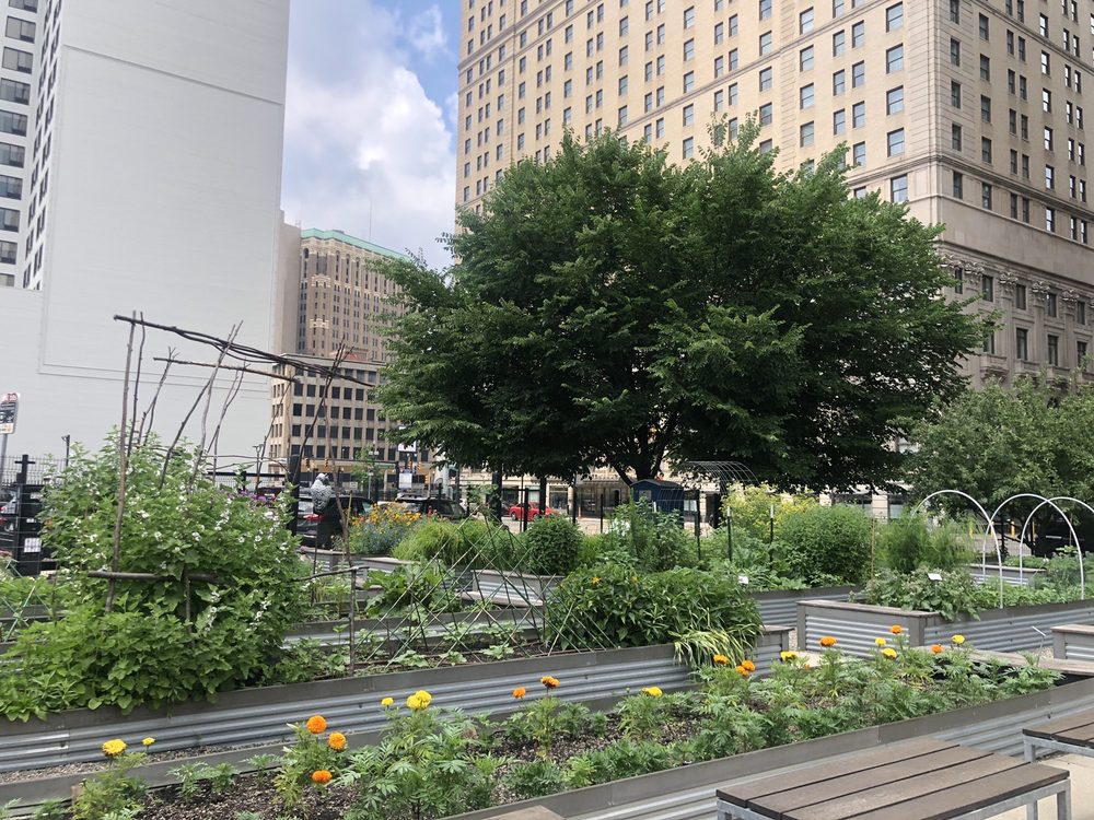 GREENING OF DETROIT - Updated August 2025 - 13000 W McNichols Rd ...
