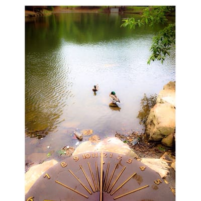 SMYRNA COMMUNITY CENTER - Updated November 2025 - 39 Photos & 10 ...