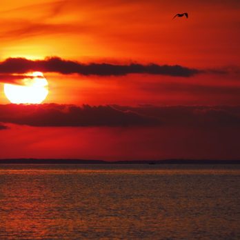 CHAPIN MEMORIAL BEACH - Updated September 2025 - 89 Photos & 33 Reviews ...