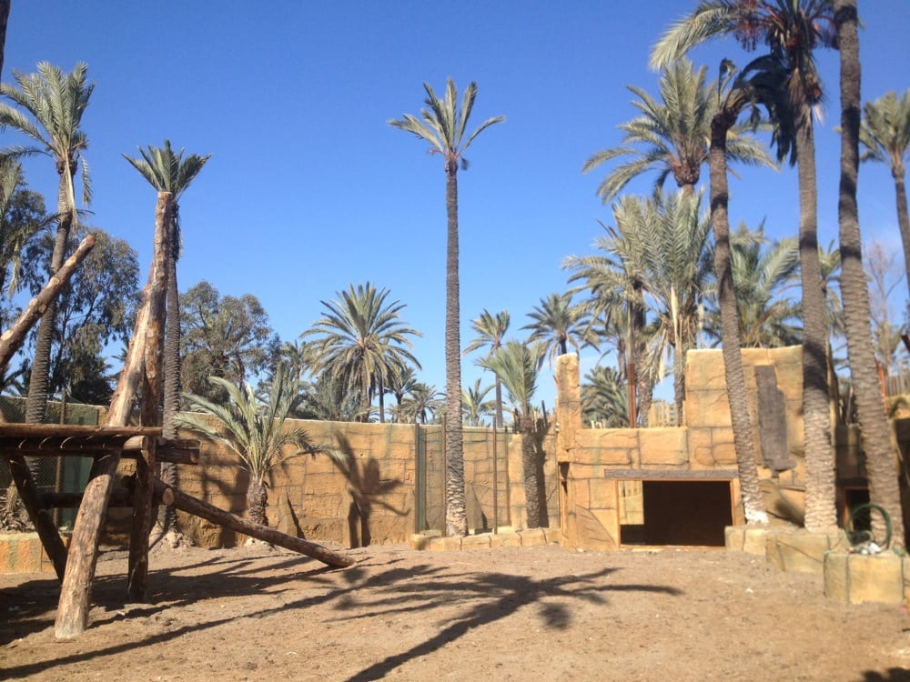 RÍO SAFARI ELCHE - 16 Photos - Partida Valverde Bajo 1104, Elx ...