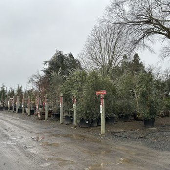 URBAN TREE FARM NURSERY - Updated December 2025 - 141 Photos & 134 ...