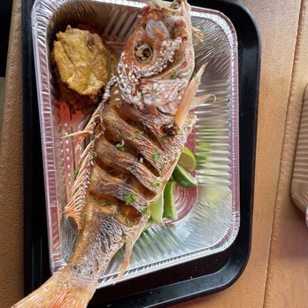 FRESH FLORIDA FISHERIES - Updated February 2025 - 509 Photos & 198 ...