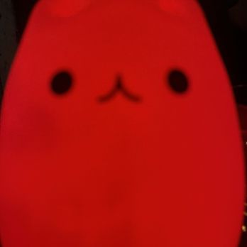 LOST CAT BAR & BITES - Updated April 2024 - 258 Photos & 101 Reviews ...