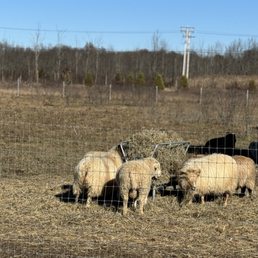 WILDFLOWER FARMS - Updated October 2025 - 237 Photos & 52 Reviews ...