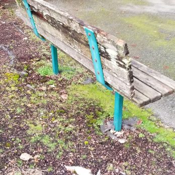 PROPVIVO - Updated July 2025 - 34 Photos & 64 Reviews - 2018 156th Ave ...