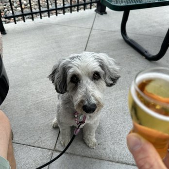 HEAVY ROTATION BREWING - Updated November 2025 - 72 Photos & 28 Reviews ...