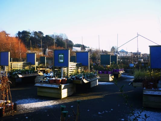 SNOWDONIA NURSERIES - Updated June 2025 - Llanrwst Road, Glan Conwy ...