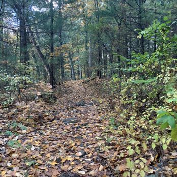 SALLY MILLIGAN PARK - Updated September 2024 - 86 Cross Ln, Beverly ...