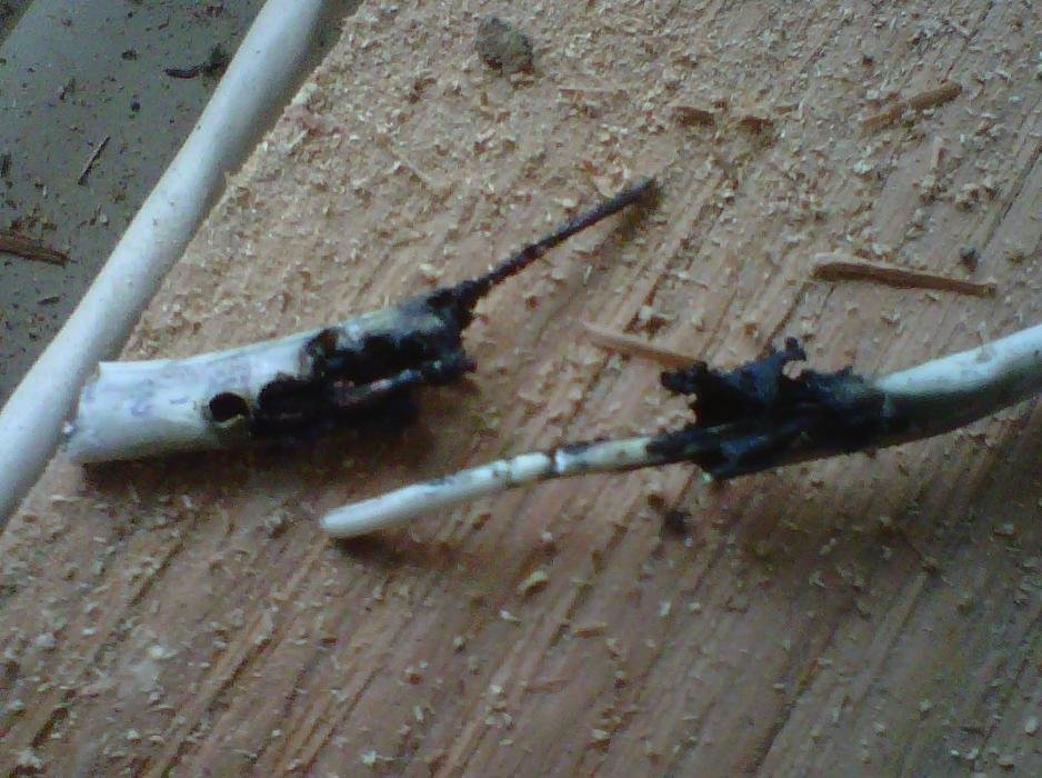 Doctor Electric - Updated October 2025 - 594 Federal Rd, Brookfield ...