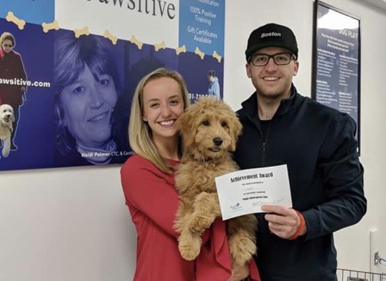 POOCH PAWSITIVE - Updated October 2025 - 17 Photos & 19 Reviews - 10 ...