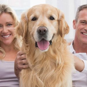 DEAN CUSTOM AIR - Updated October 2025 - 16 Reviews - 120 Logan Rd ...