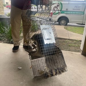 ABC HOME & COMMERCIAL SERVICES - 119 Photos & 474 Reviews - 9475 E Hwy ...