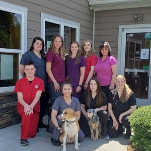 ANIMAL ARK VETERINARY HOSPITAL - Updated October 2025 - 103 Photos & 53 ...
