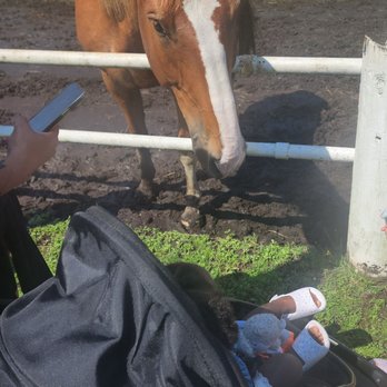 KRIZ FARM ICE CREAM - Updated September 2025 - 48 Photos & 17 Reviews ...