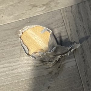 CAMPING WORLD RV SALES - Updated January 2026 - 48 Photos - 19302 North ...