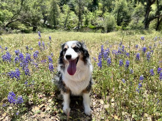 SPENCEVILLE WILDLIFE AREA - Updated December 2025 - 70 Photos & 21 ...