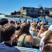 WILLAMETTE JETBOAT EXCURSIONS - TEMP. CLOSED - 144 Photos & 226 Reviews ...